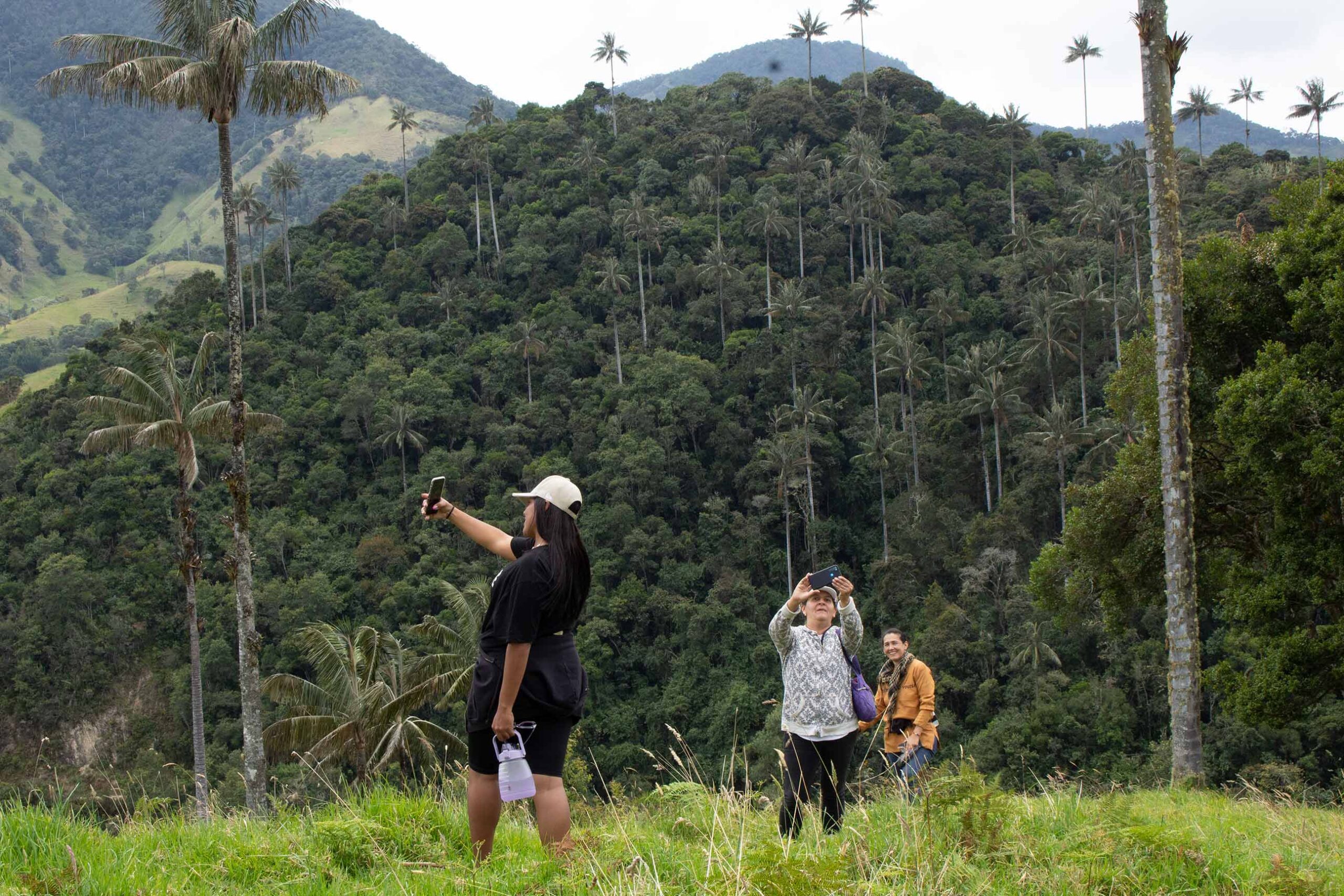 Valle de la Samaria: 14 de Noviembre - Caldas Ecotravel